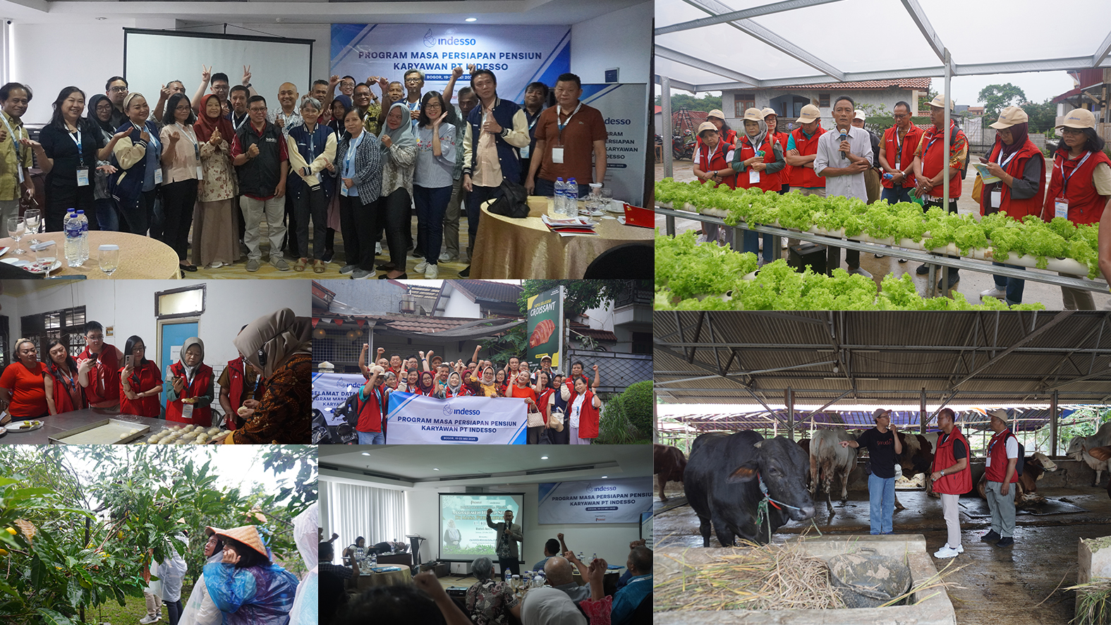 Program Pra Pensiun Karyawan Berbasis Keterampilan Usaha - Pensiun ...